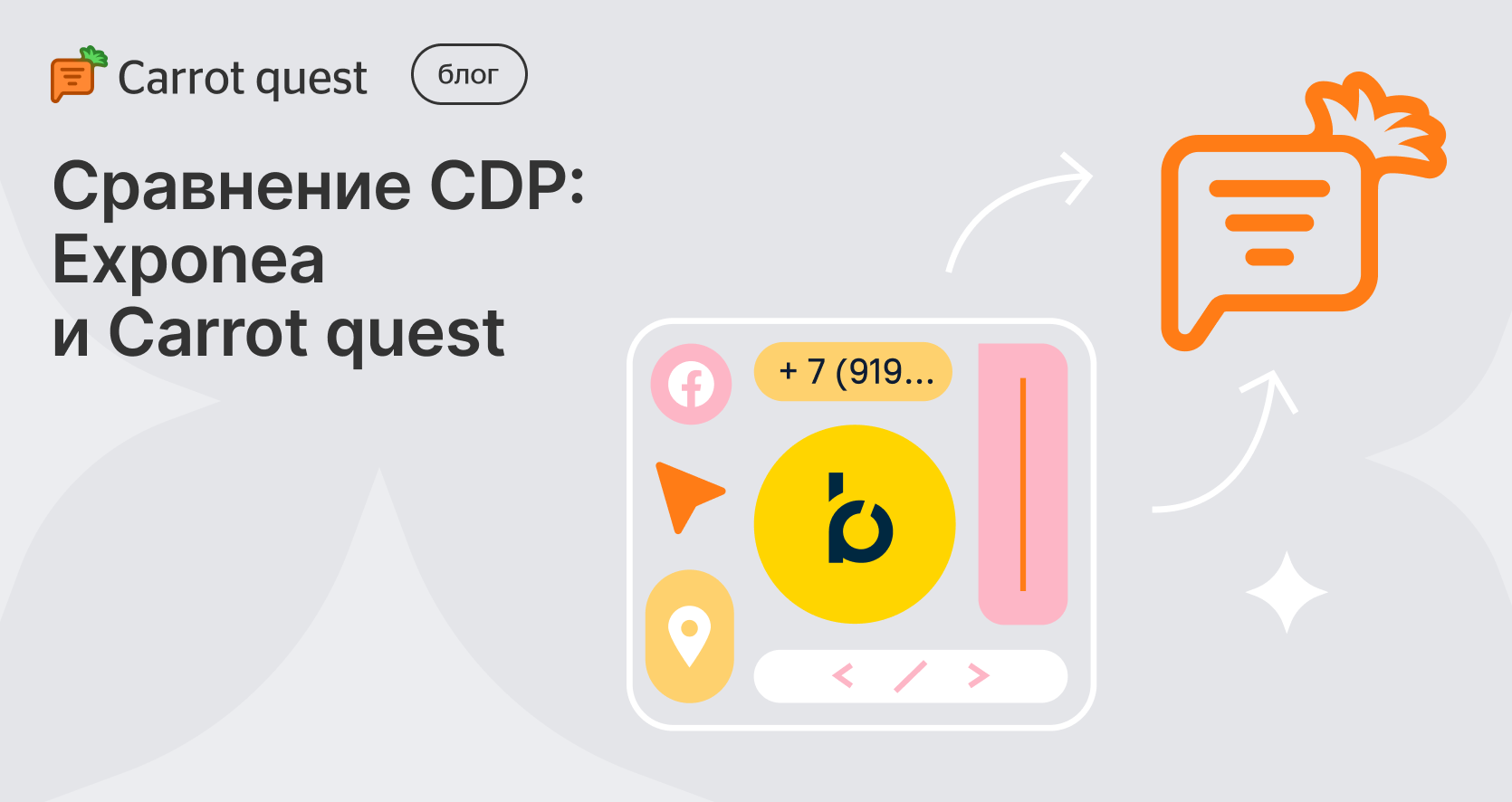 Альтернатива CDP Exponea — сравнение с Carrot quest